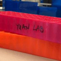 The Yuan lab